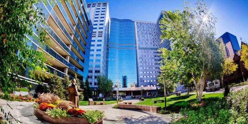 Mayo Clinic | Primary Aldosteronism Foundation